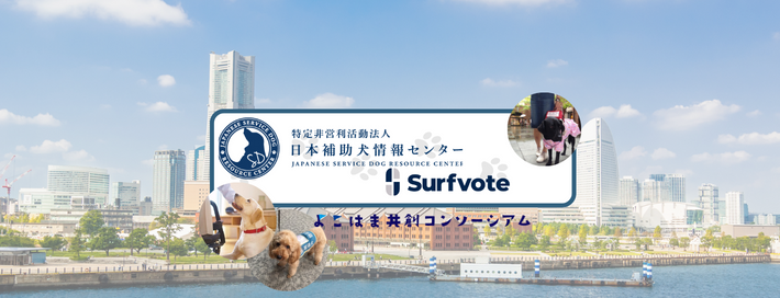 ローカル一覧 | Surfvoteローカル