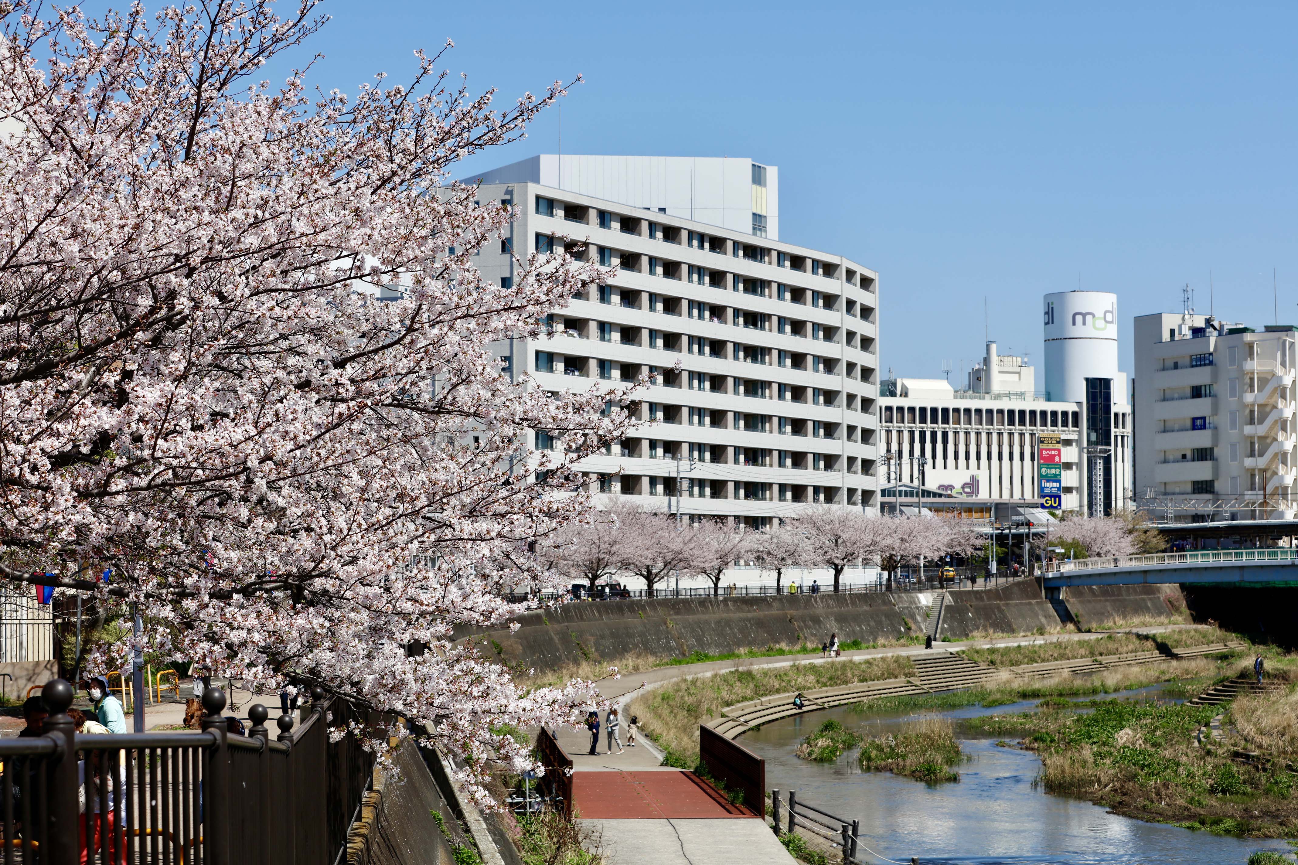 横浜市（神奈川県）